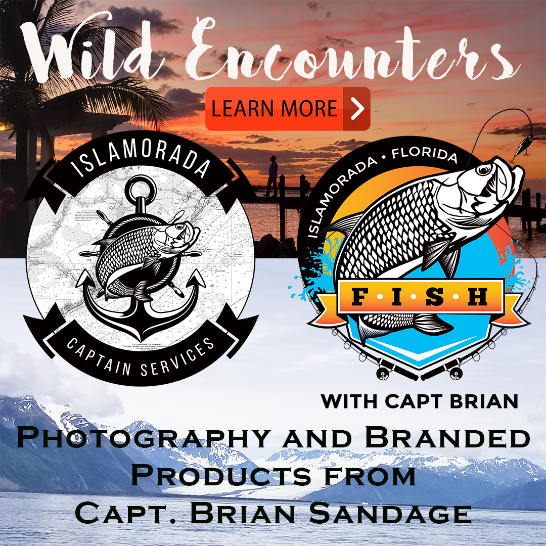 Wild-Encounters-Promo - Dustin Vaughn Warncke - Outdoor Media ...